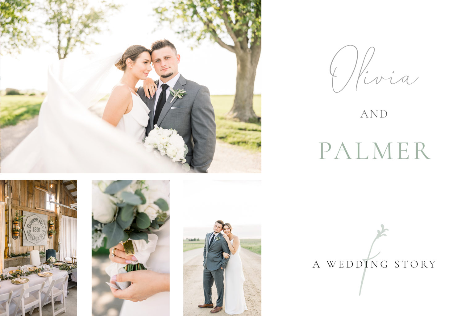 Blog Page | Fieldstone Photography